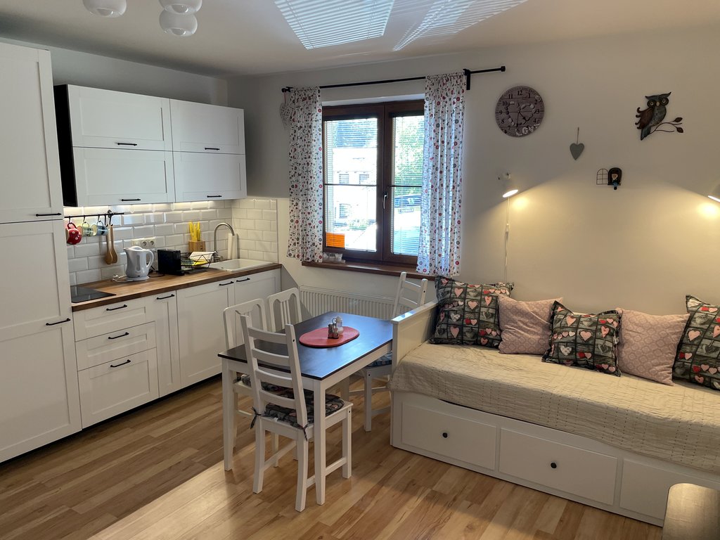 Apartmán U rysa - Železná Ruda