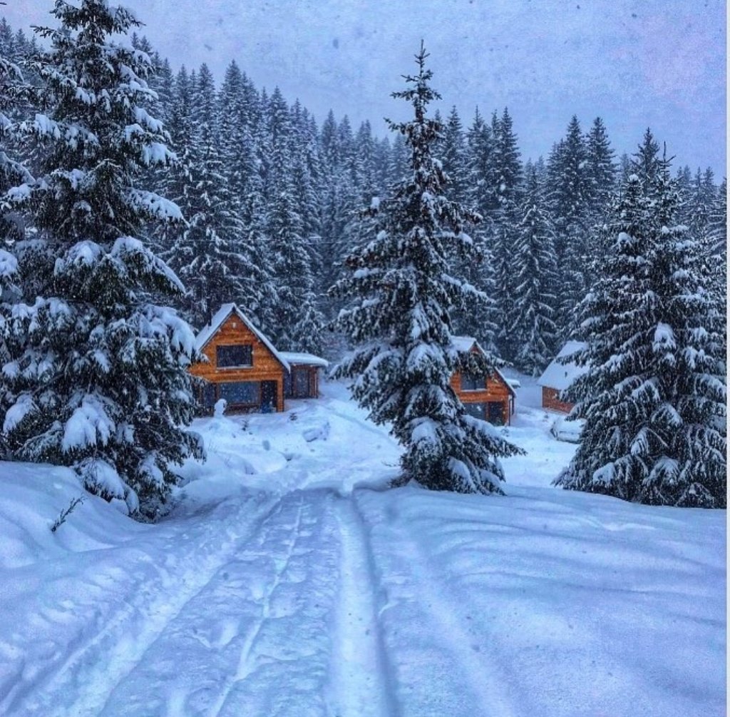 Chata M - Dolný Kubín