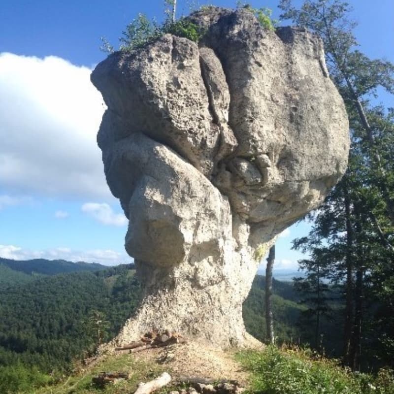 Ubytovanie Stratený budzogáň