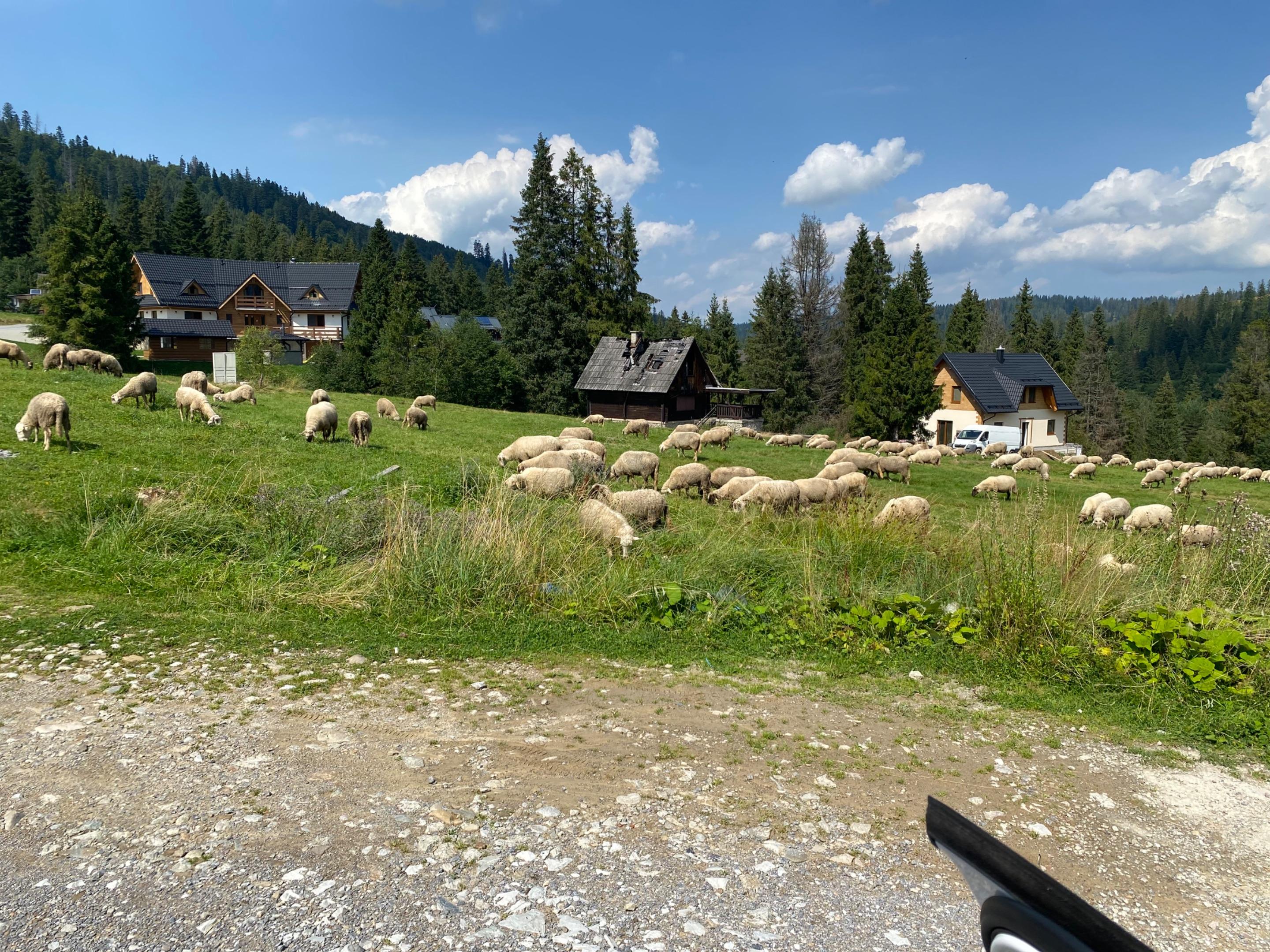 Chata Alexia Oravice - Oravice