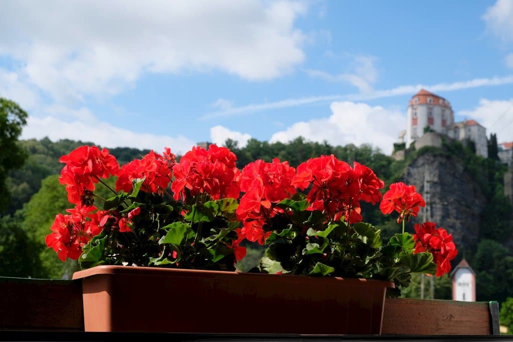 Pension Hamry - Vranov nad Dyjí