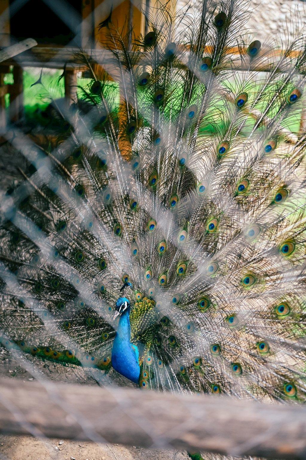 Chalupa Pierko - Turčianske Kľačany