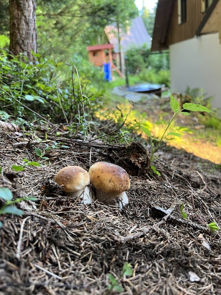 Chata Richtárka - Slanická Osada