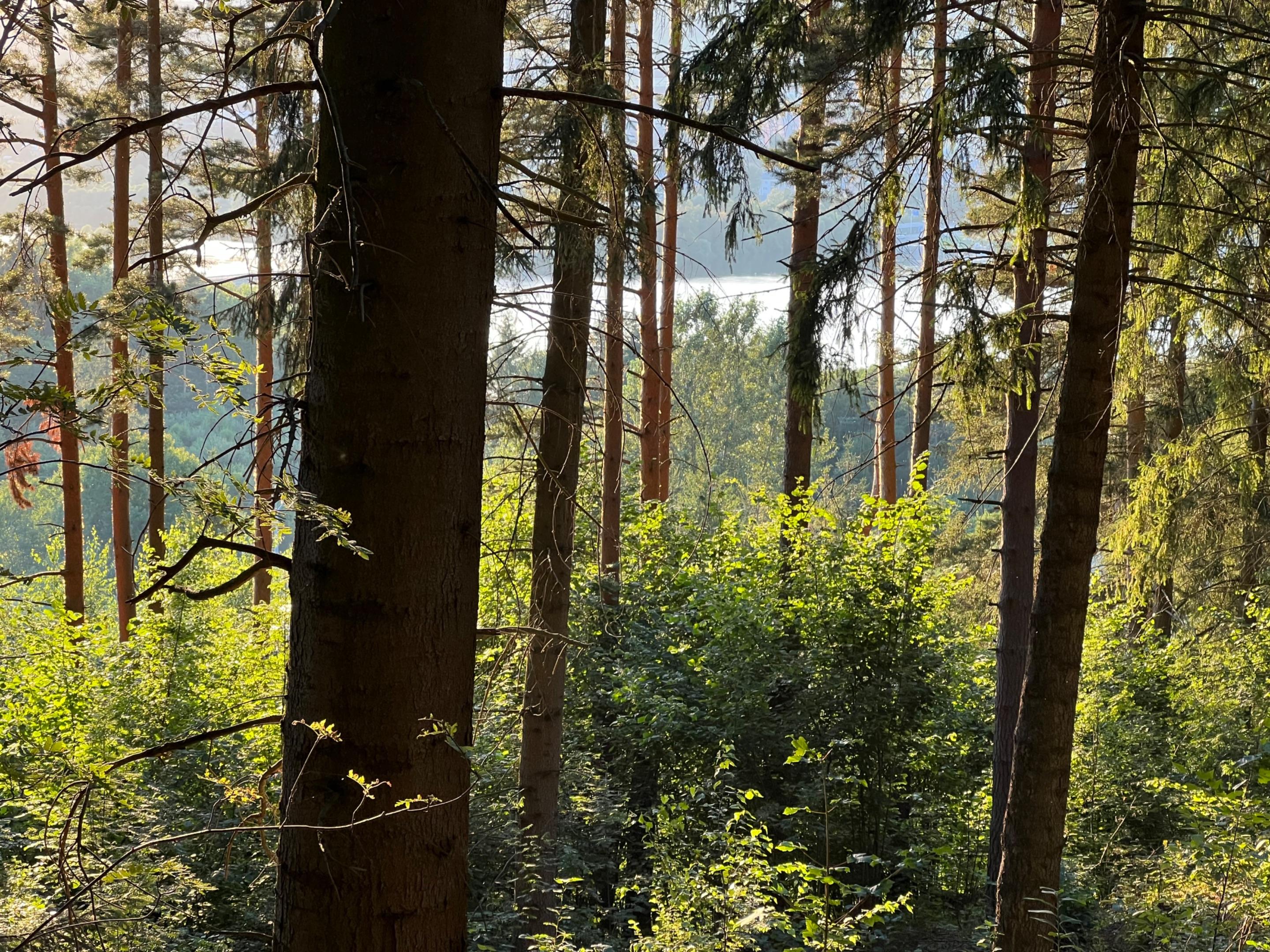 Chata Richtárka - Slanická Osada