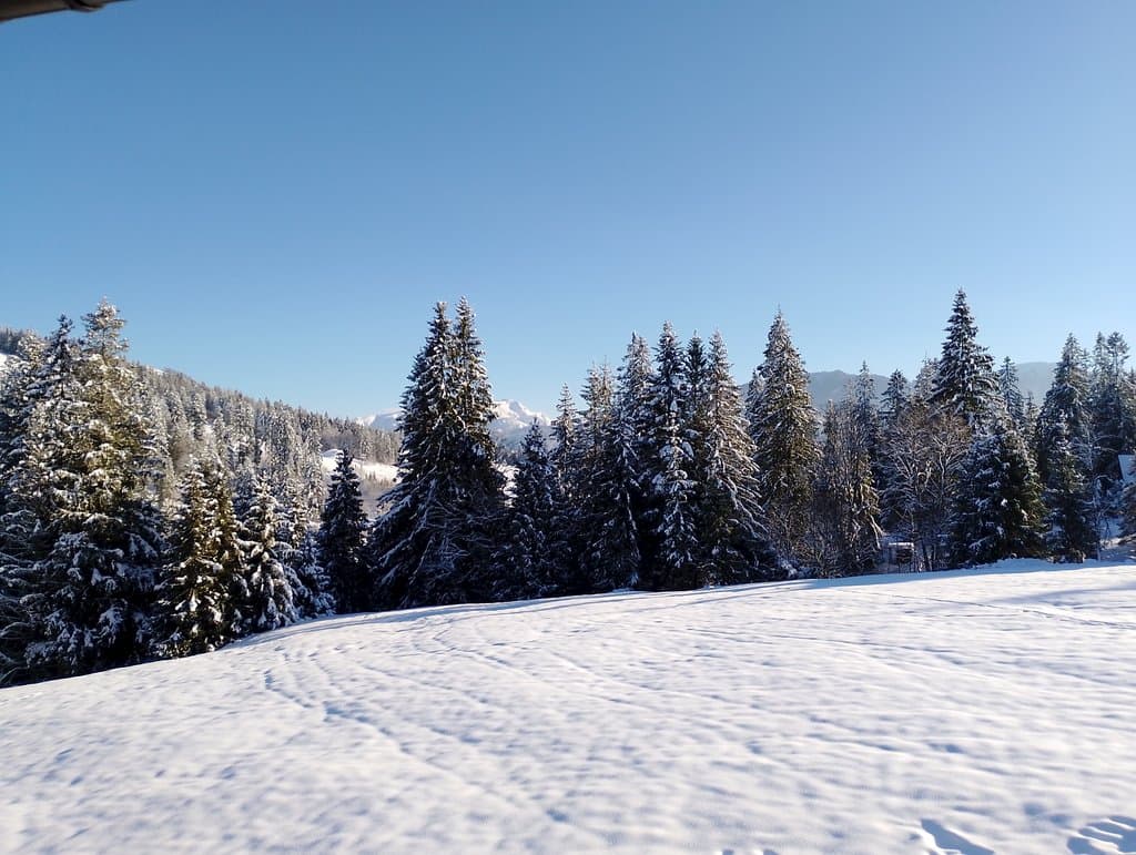 Chata Soemi Oravice - Oravice