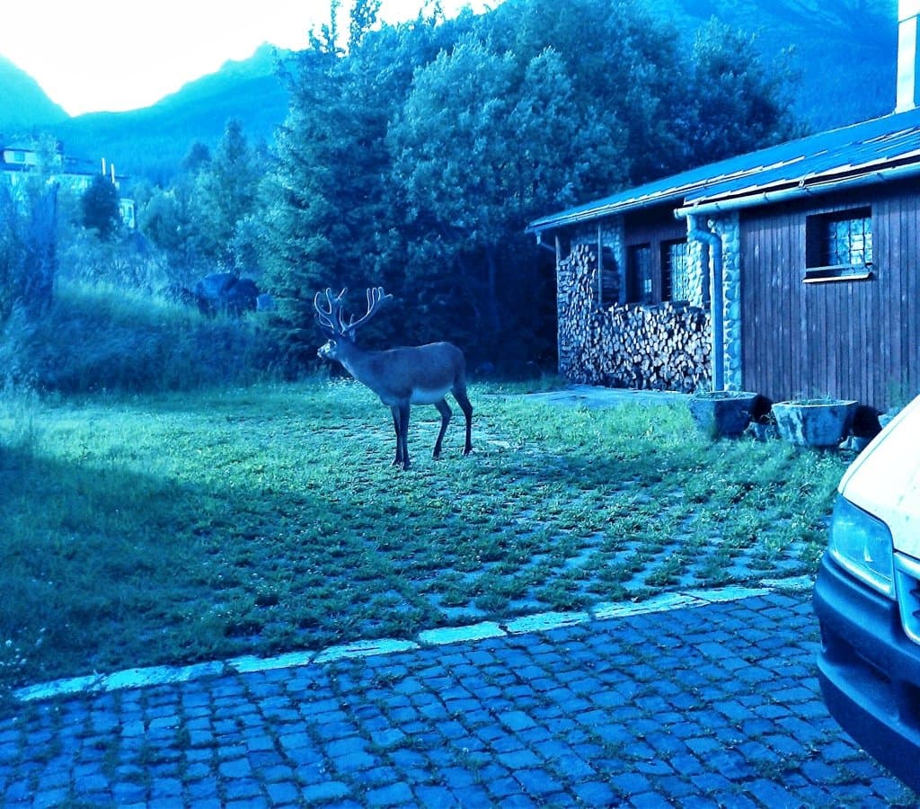 Apartmán Tatranské Zruby - Vysoké Tatry mesto