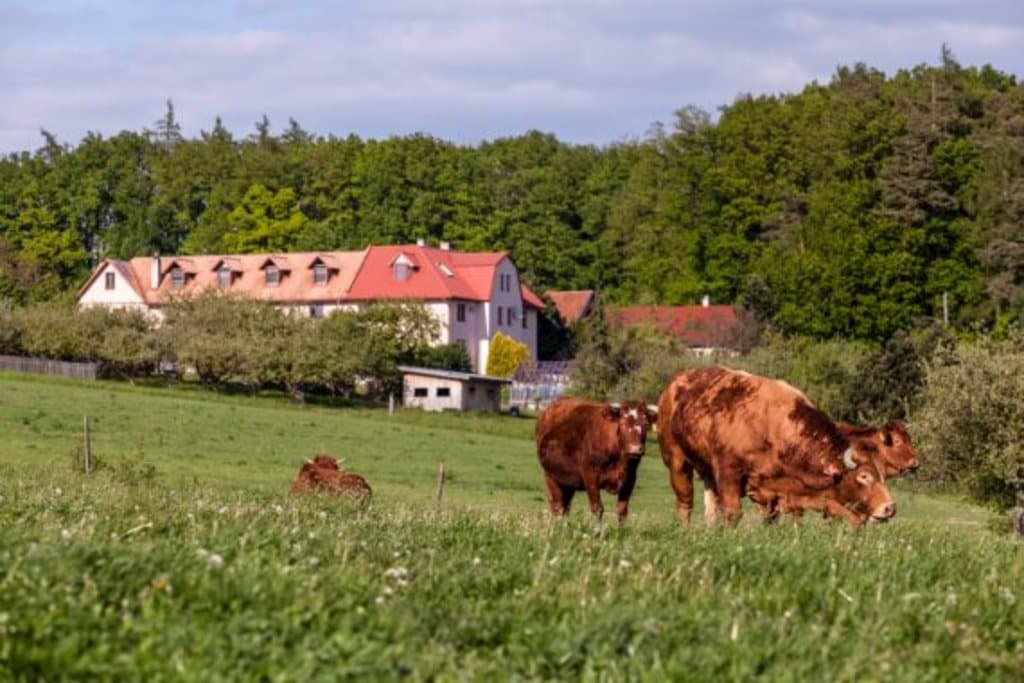 Penzion na Jurém - Zlín