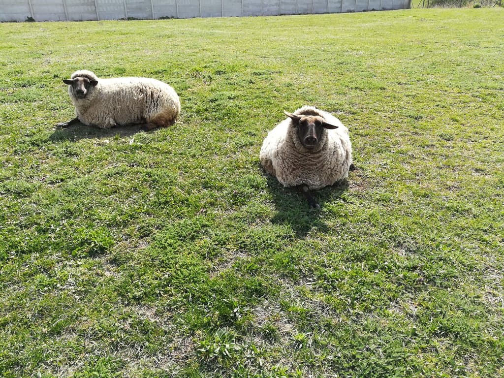 Moravský statok Strachotín - Strachotín