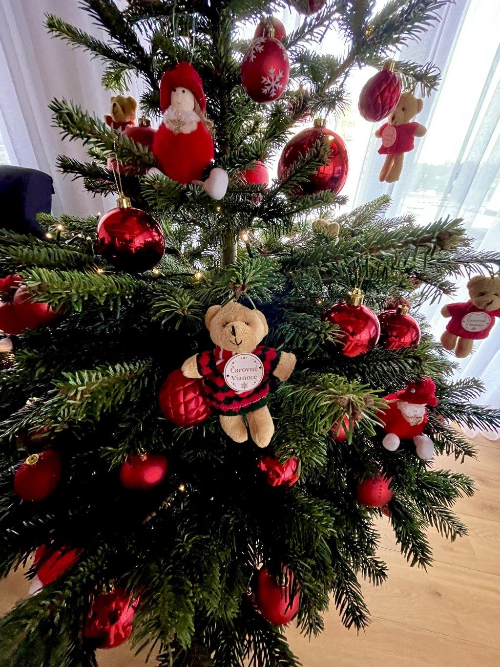 Wellness Villa Elent - Stará Lesná