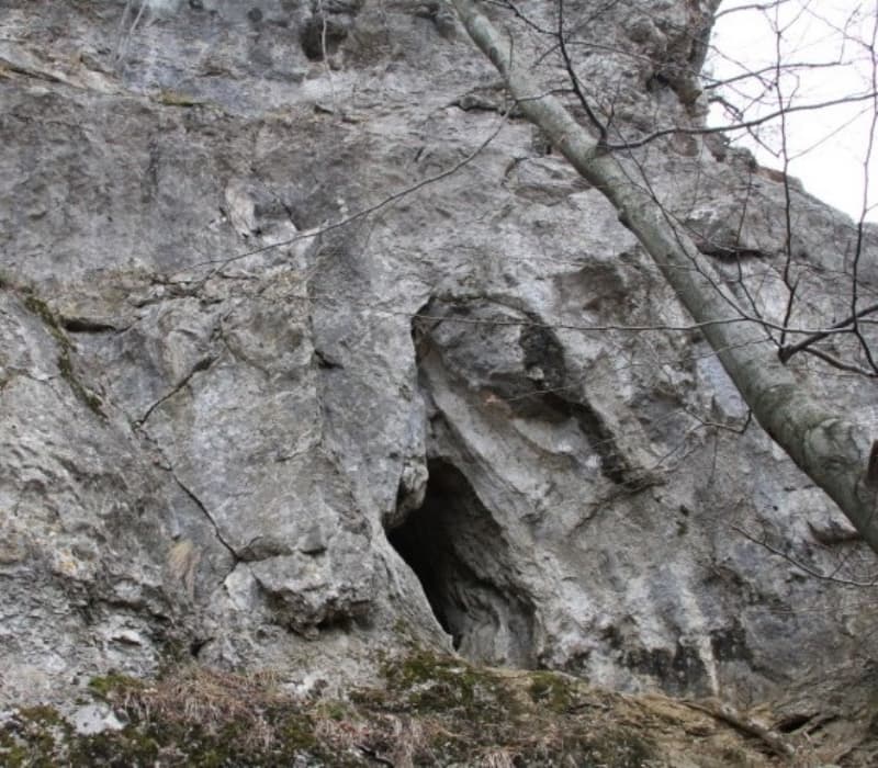 Resort Koliby Pacho - Bojnice